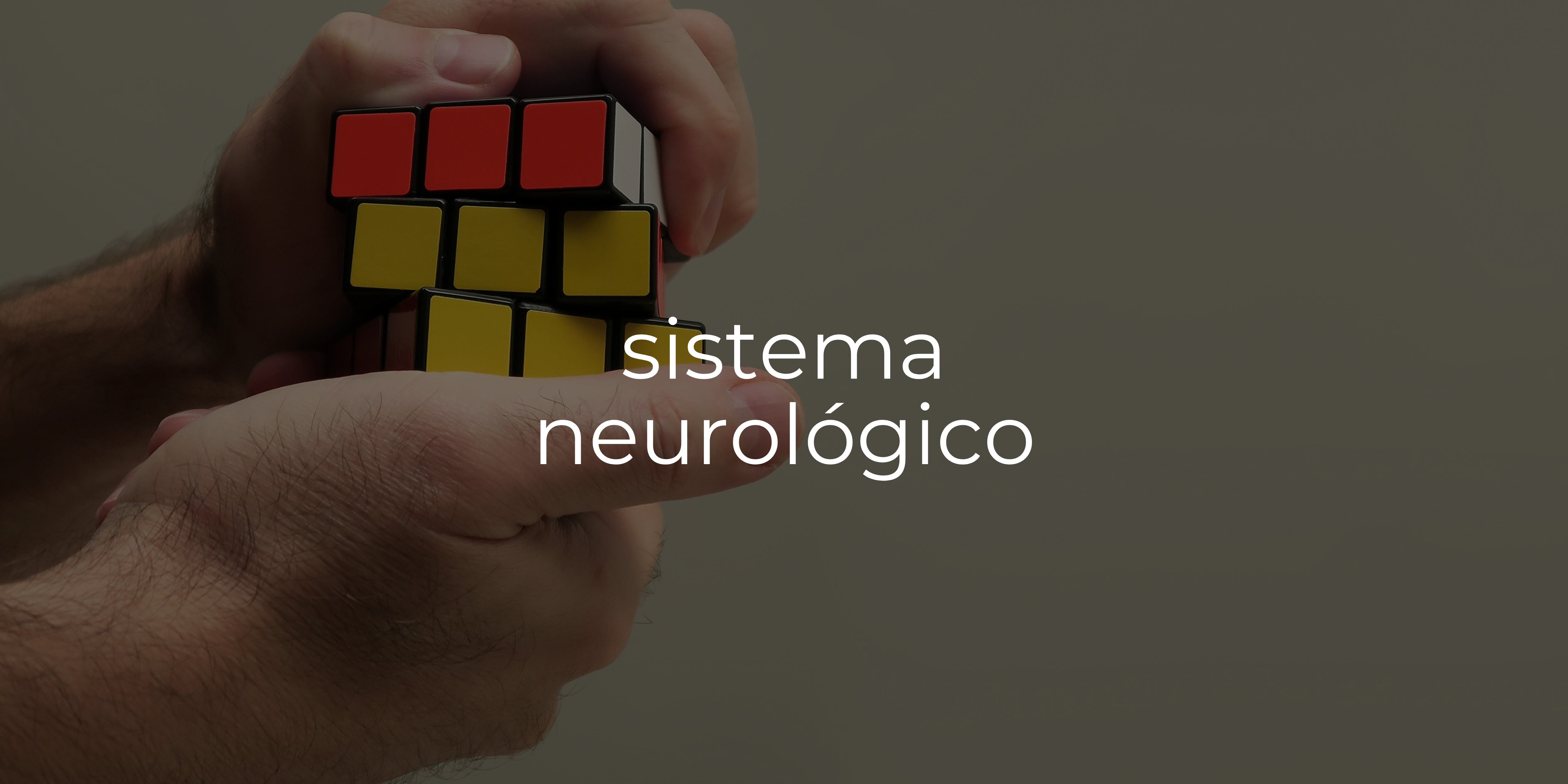 Sistema Neurológico – Bitol